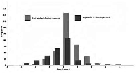 Discriminant Analysis On Small Juvenile And Large Adult Skulls Of