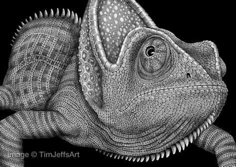 Chameleon Pencil Drawing
