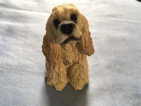 Mini Cocker Spaniel