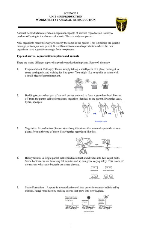 Sexual Vs Asexual Reading Comprehension Worksheets Worksheets Library