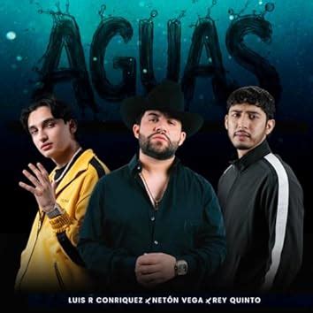 Neton Vega En Amazon Music Unlimited