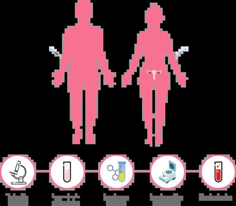Lit Therapy In Ivf Lymphocyte Immunization Treatment