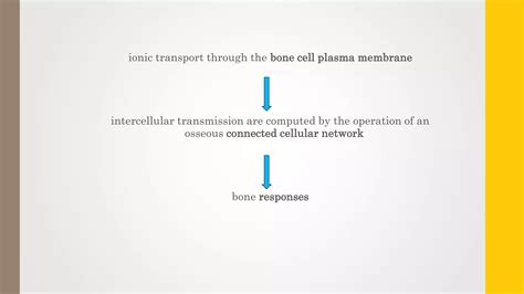 Functional Matrix Hypothesis Revisited PPTX Functional Matrix Hypothesis Revisited PPTX