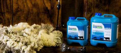 Selenium Deficiency In Sheep Causes Symptoms And Treatment Beachport Liquid Minerals