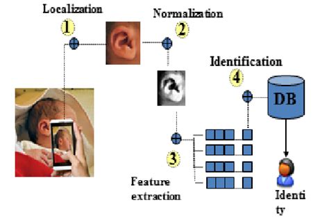 The First Iteration Of Roi Detection Download Scientific Diagram