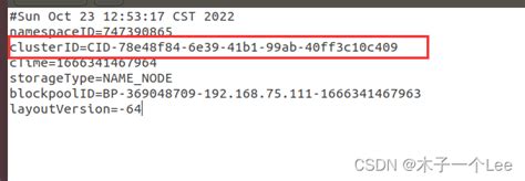 解决hadoop完全分布式集群中从节点jps没有datanode节点问题master节点没有datanode Csdn博客