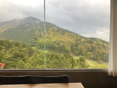 양산 덕계 카페 홍차왕자 본점 네이버 블로그