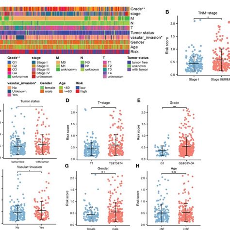 Nomogram Based On Crfs Gender And Stage A Nomogram B Timeroc Download Scientific