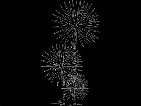 Buisson Dans Autocad Téléchargement Cad Gratuit 53 41 Kb Bibliocad