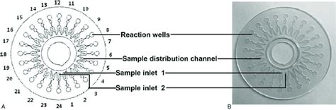 Schematic Of The Microfluidic Chip Consisting Of An Array Of 24