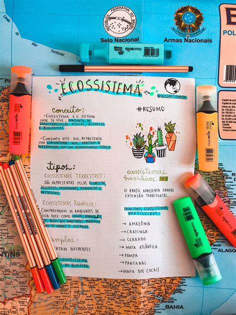 Componentes Do Ecossistema Brasil Artofit