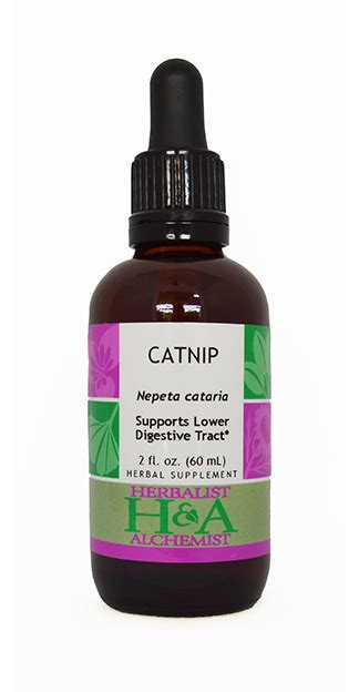 Catnip Extract Herbal Supplement Herbalist And Alchemist