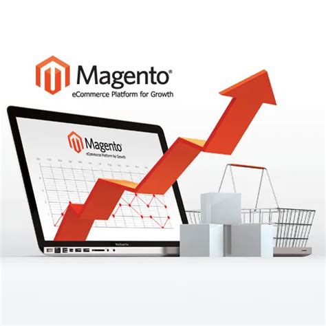 E Commerce Magento Ecommerce Rs Month Bajwa Infotech Pvt Ltd ID