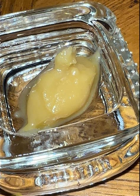 Poochie Love Cured 🔥 R Mdents