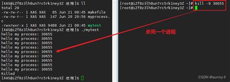 【linux进程】linux下的 七大进程状态（什么是进程状态？linux下有哪些进程状态？） linux 几种进程状态 csdn博客