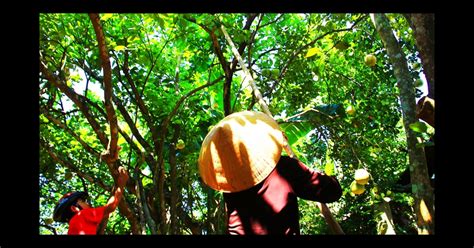 Cooking Class In Thuy Bieu Village Ztrip