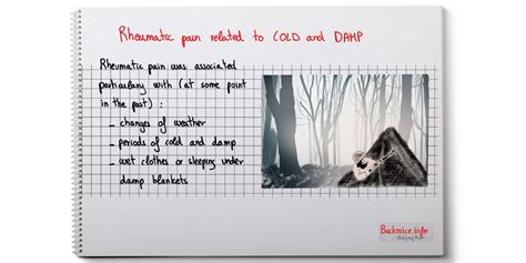 Trigger Points And Fibrositic Nodules Or Back Mice