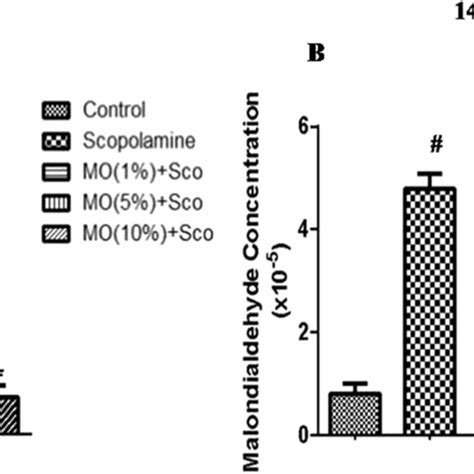 A B Moringa Oleifera Supplemented Diet Effect On Lipid Peroxidation In
