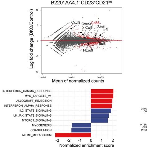 Gene Expression Analysis Of Control And Dko B Cell Subsets Ma Plots And