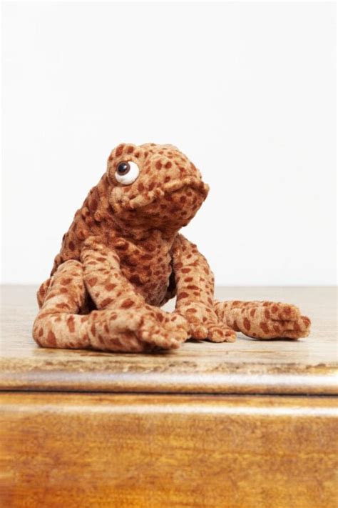 Jellycat Toby Toad Ms Rudolphs