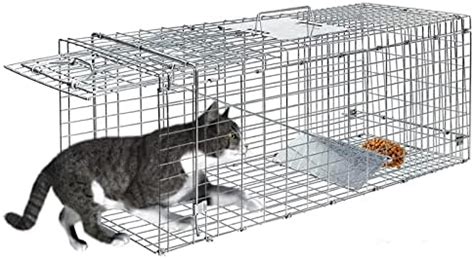 Amazon.com : Folding Collapsible Humane Live Animal Cage Trap No-Kill Trapping Kit for Humane ...