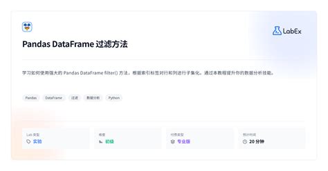 Pandas Dataframe 过滤 数据分析 Labex