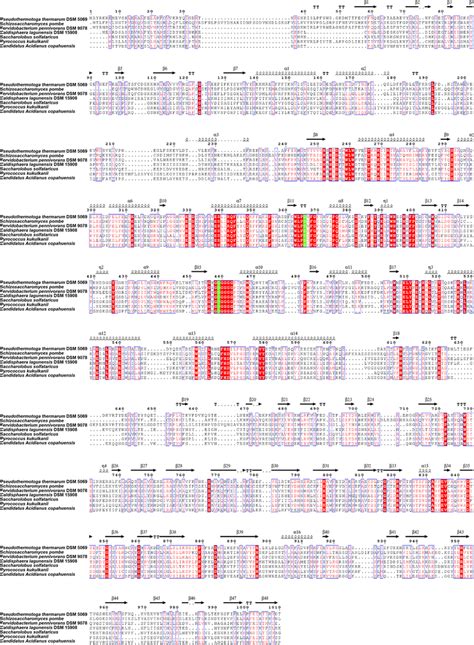 Multi Alignment Of Amino Acid Sequences Sequence Alignment Was