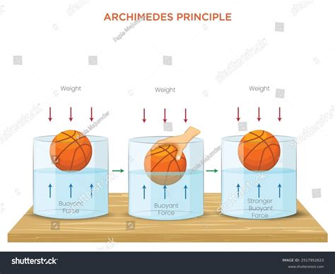 archimedes principle explains buoyancy object submerged stock vector
