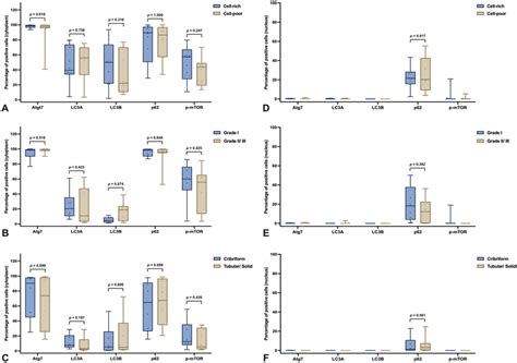 Blox Plot Charts Illustrating The Percentages Of Cytoplasmic A C And