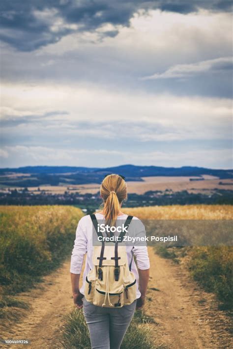 여름에는 자연 전원 풍경에 보기를 즐기는 배낭 여행자에서 하이킹 여자 비포장도로에 대한 스톡 사진 및 기타 이미지 비포장도로
