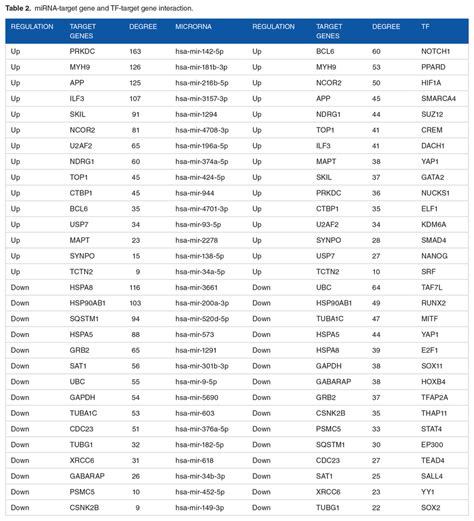 Mirna Target Gene And Tf Target Gene Interaction Download Scientific Diagram