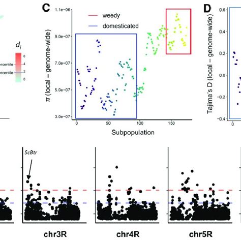 Rye Population Admixture Rye Individuals Show High Levels Of Admixture