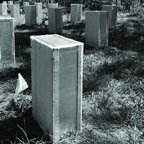 Field Installation Of Clt Specimens In An Rcb Design 3 3 10 Download Scientific Diagram