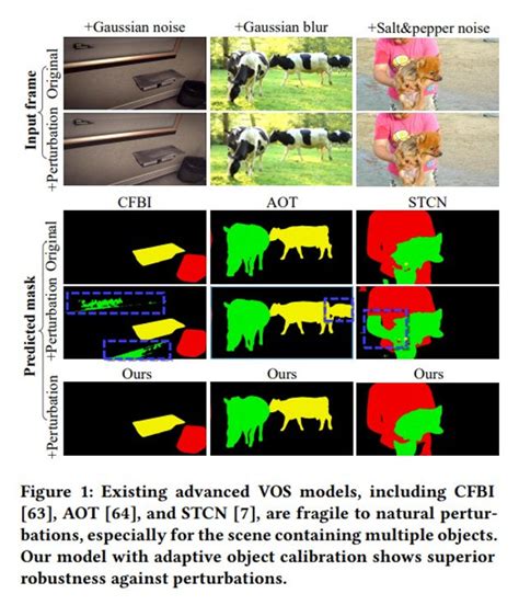 Improve Object Segmentation In Video Using An Adaptive Object Proxy