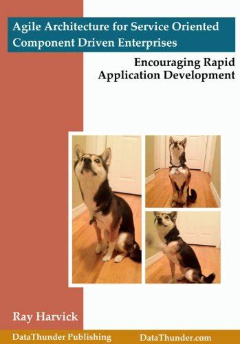 Agile Architecture For Service Oriented Component Driven