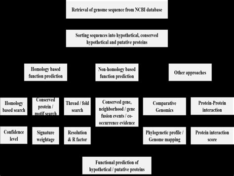 Scheme Characterizes Integrated Annotation Re Annotation Strategy Download Scientific Diagram