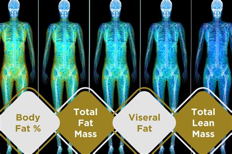 BMD DEXA Scan In Navi Mumbai Bone Density Evaluation