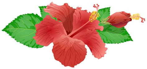 Red Flower Clipart Png