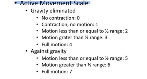 Brachial Plexus Flashcards Quizlet