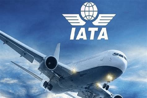 Iata Mulls Contactless Travels The Nation Newspaper