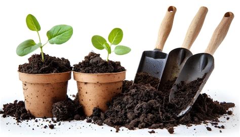 Gardening Tools And Seedling In Soil Surface Isolated On A White