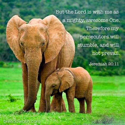 Prosecutors Cant Prevail Brenda Walsh Scripture Images