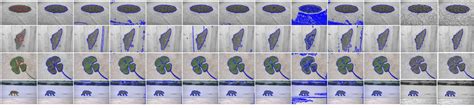 segmentation results of different methods with six initial functions