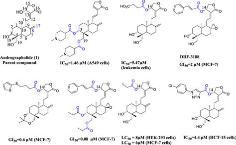 Ester Linked Anticancer Semisynthetic Derivatives Of Andrographolide Download Scientific Diagram