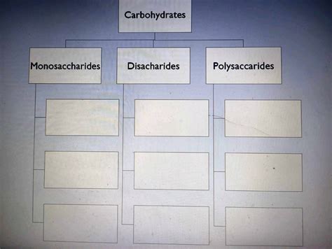 Carbohydrates Monosaccharides Disacharides Studyx