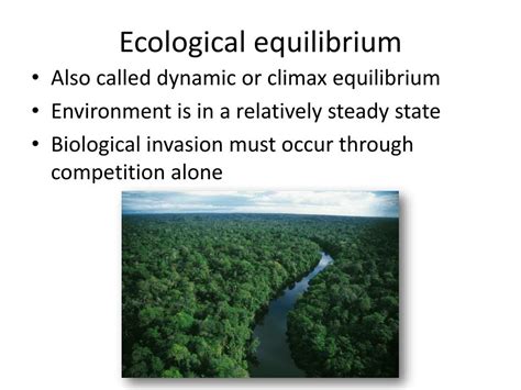 Ppt Ecological Succession Powerpoint Presentation Free Download Id