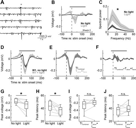 Optogenetic Inhibition Of Pv Interneurons Affects Ongoing Brain