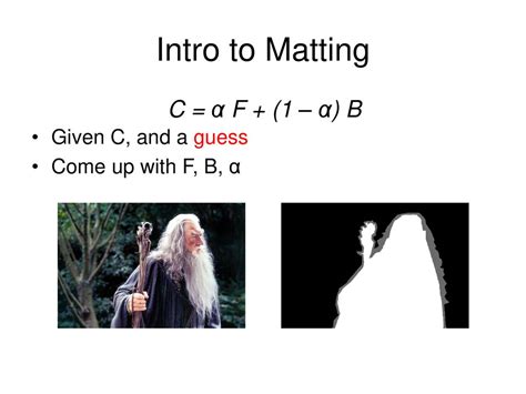 Alpha Matting Using Belief Propagation Ppt Download