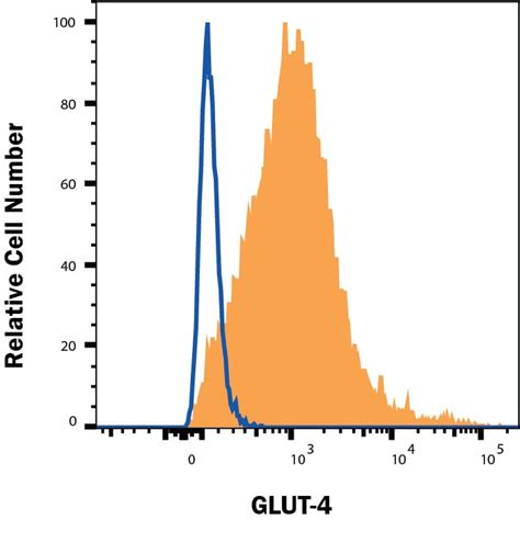 Glut4