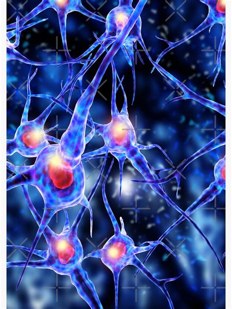 Cuaderno De Espiral Dendritas Y Un Axón Las Dendritas Y Los Axones